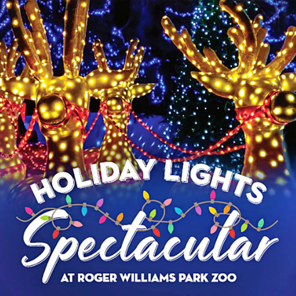 Hebron Lion’s Lights in Motion (1 Mile Drive Thru with a Million Lights ...