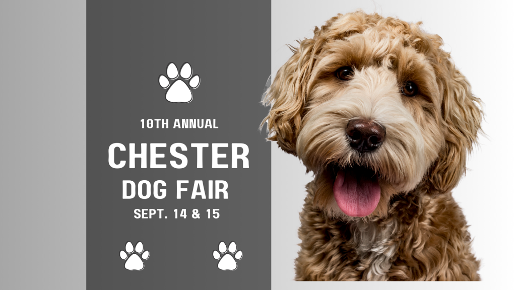 Chester Dog Fair - Kids in Connecticut
