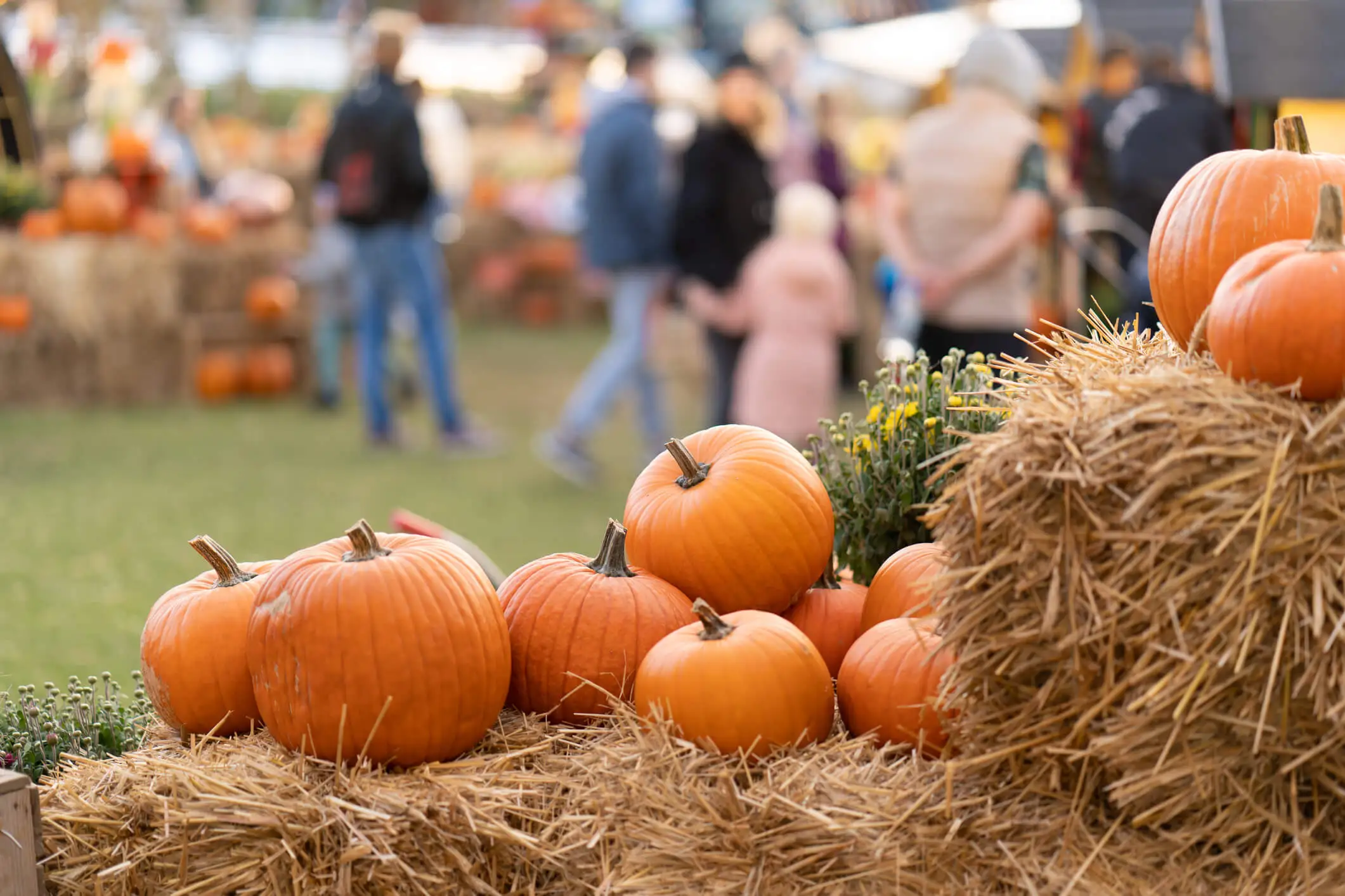 Fall Fairs and Festivals in Connecticut - Kids in Connecticut